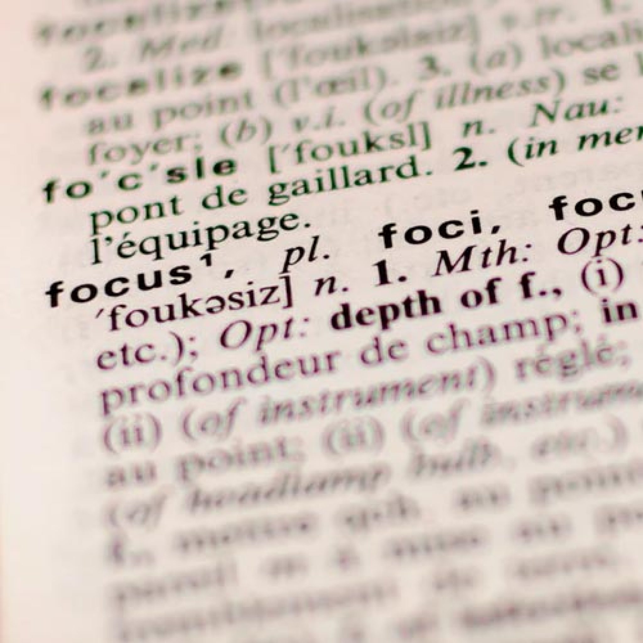 El Significado O Definición De Lo Que Quieras