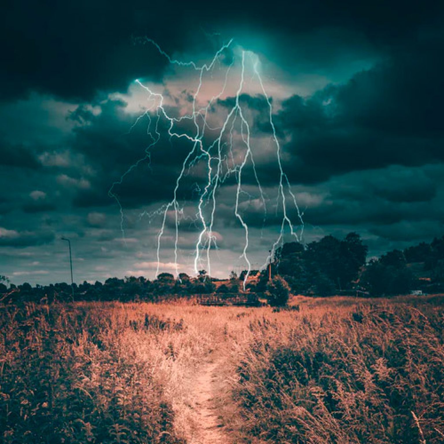 ¿Qué Es El Clima? Definición, Elementos Y Tipos