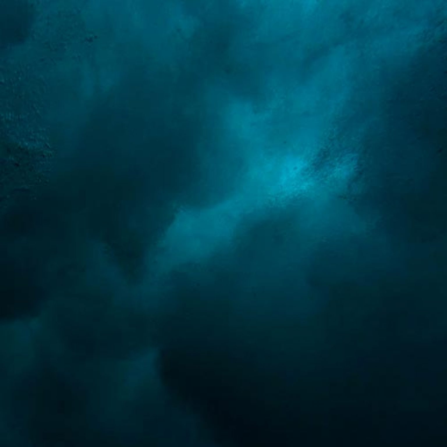 El Significado O Definición De Lo Que Quieras