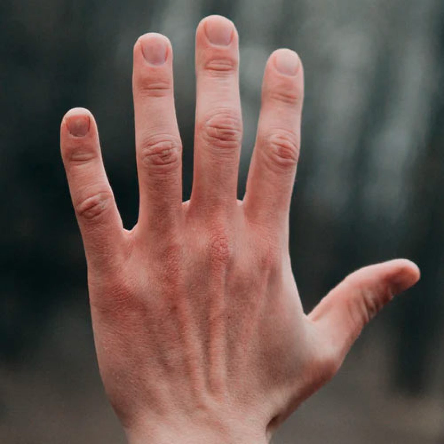 ¿Qué Es Un Cholo O Chola? Descubre Su Origen Y Significado