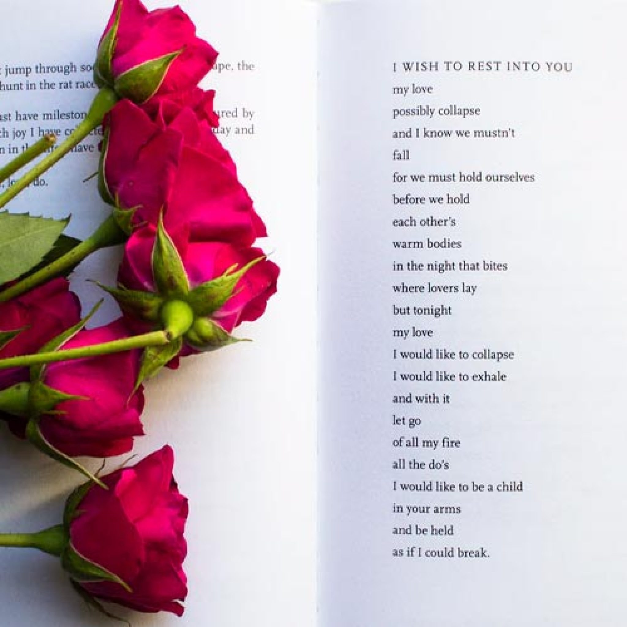 Verso: Definición Y Significado De Los Versos