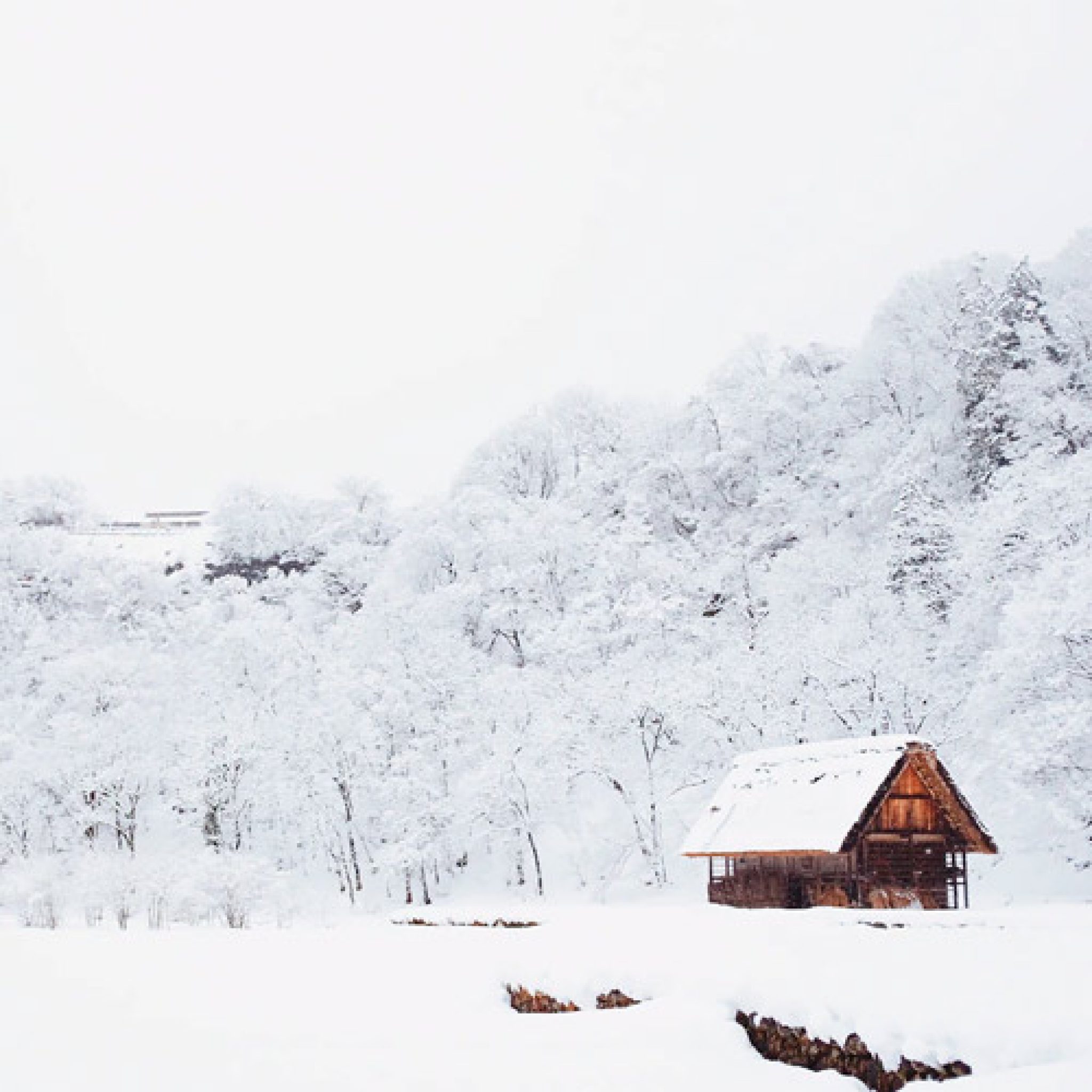 Significado De Nieve • Significado.Online ® En 2025