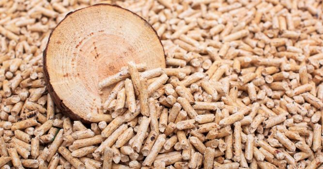 Pellet, combustible energético del que todo el mundo habla