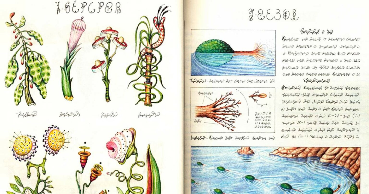 Codex Seraphinianus: Qué Es, Textos E Ilustraciones